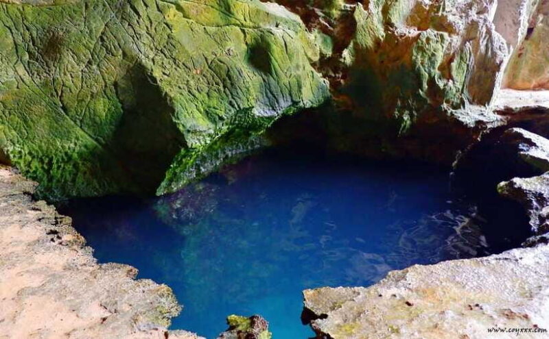 Coron Calauit Safari Tour (Private Tour) - FAQ