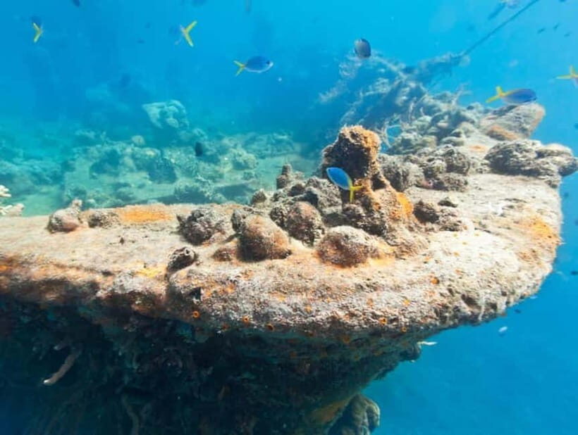 Coron Island: Reef and Wrecks Tour (JOINERS) - Key Points