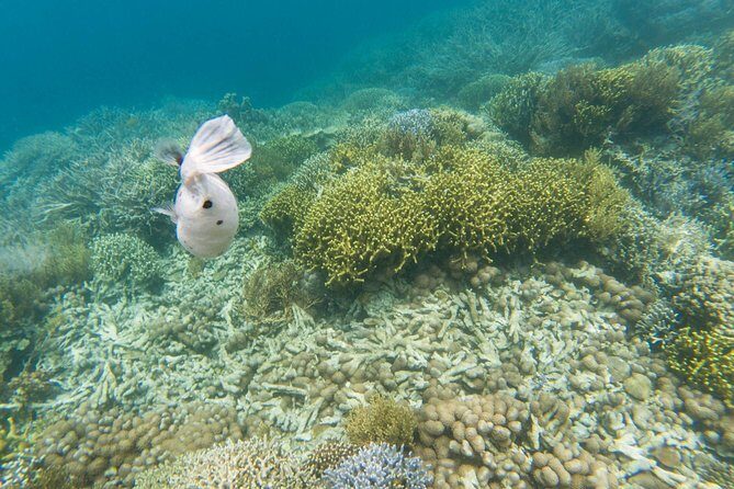 Coron Island Tour B (Private) - Final Thoughts