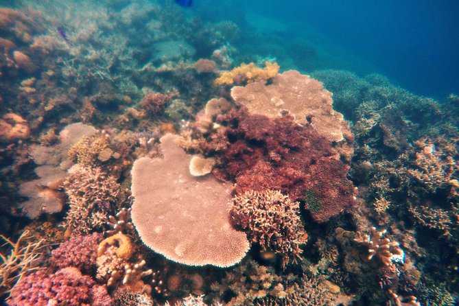 Coron Island Tour B (Shared Tour) - What Do Travelers Say?