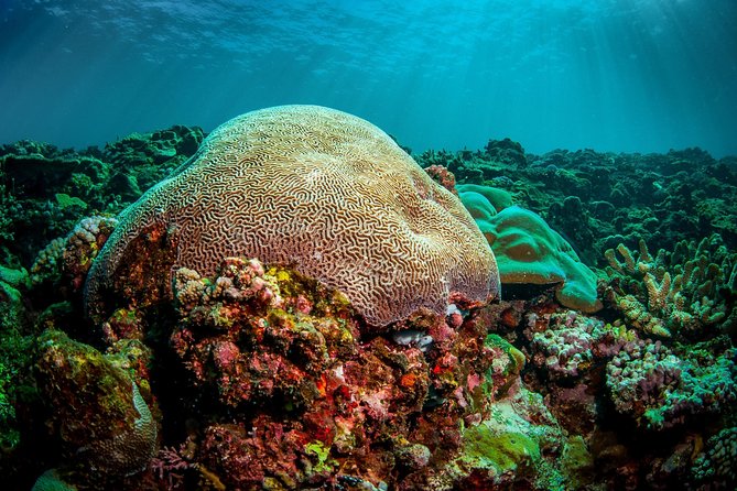 Coron Island Tour B (Shared Tour) - Final Thoughts