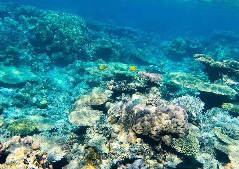Coron: Island Tour B - The Real Traveler Experience