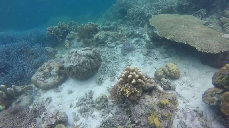 Coron: Off-Bay Islands, Lagoons and Lakes Hopping Tour - Why This Tour Might Be Perfect for You