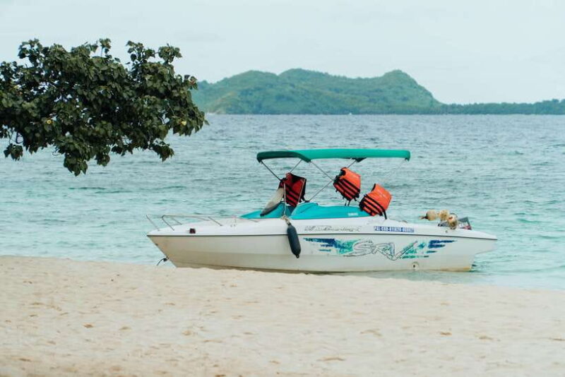 Coron Palawan: Best Culion Beaches via Private Speedboat - Who’s This Tour Best For?