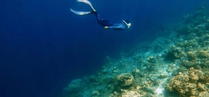 Coron: Pukaway Cave Underground Lake Tour w/Lunch (Shared) - The Value of the Tour