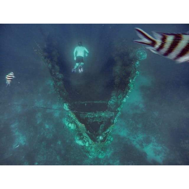 Coron: Reef & East Tangat Wrecks Tour with Lunch - Final Thoughts: Who This Tour Is Perfect For