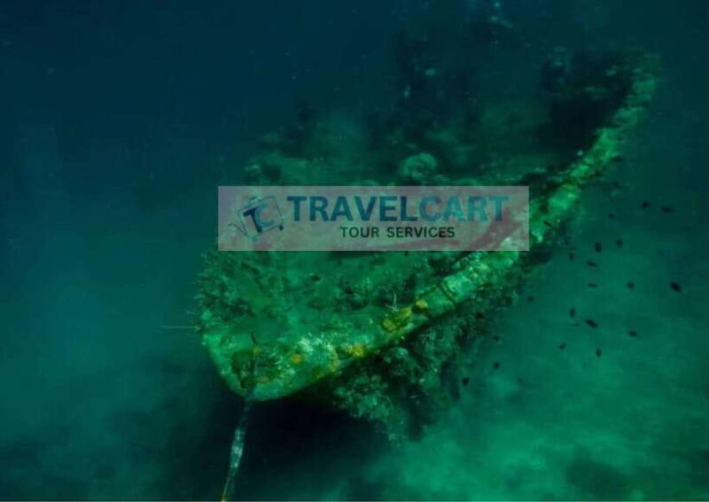 Coron Reef & Wrecks Tour - Key Points