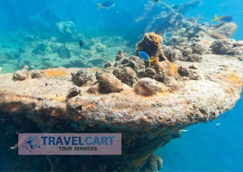 Coron Reef & Wrecks Tour - Authentic Experiences and Honest Impressions