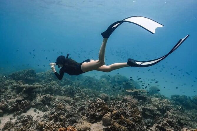 Coron Reefs and Wrecks Tour - An Honest Look at the Tour Itself