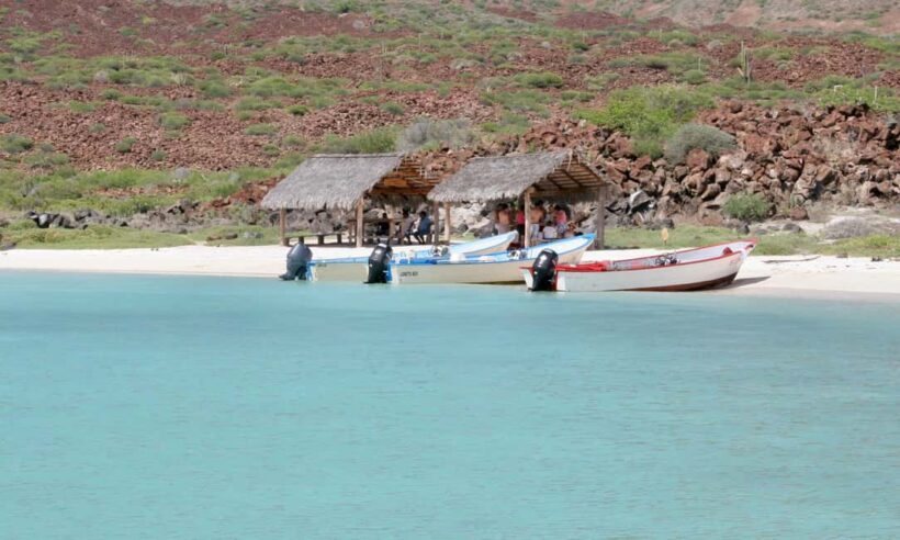 Coronado Island and Snorkel Tour - Exploring the Details of the Coronado Island Snorkel Tour