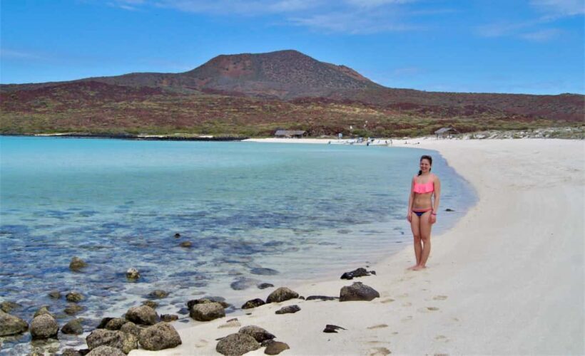 Coronado Island and Snorkel Tour - Who Will Love This Tour?