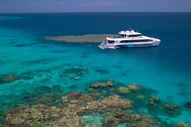 Corporate Bus, Private Transfer, Port Douglas - Cairns - The Sum Up: Is It the Right Choice?