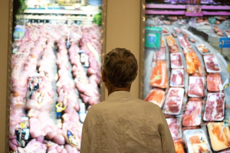 Corpus Christi: The Art Museum of South Texas Entry Ticket - The Architecture and Views