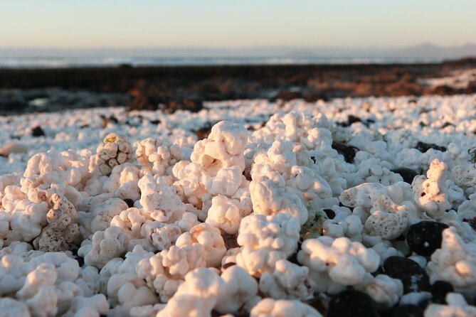 Corralejo: Self Guided Ebike Tour to Popcorn Beach and Volcanoes - Health and Safety Considerations