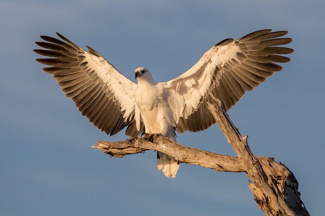 Corroboree Billabong Wetland Cruises - 2 hour Sunset Cruise - An In-Depth Look at the Cruise Experience