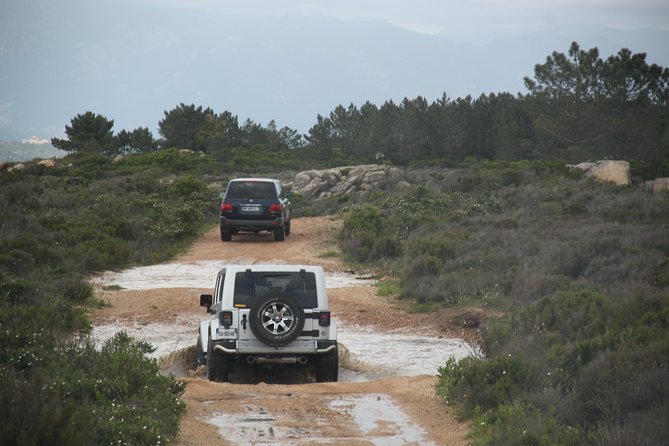 Corsica Extreme Sud Day 4X4 Excursions From Porto-Vecchio - Participant Information and Accessibility