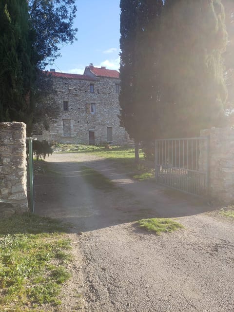 Corsica: Organic Wine Tasting & Local Lunch - Exploring the Old Sheepfold Tasting Room