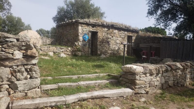 Corsica: Organic Wine Tasting & Local Lunch - Savoring the Seasonal Tasting Boards