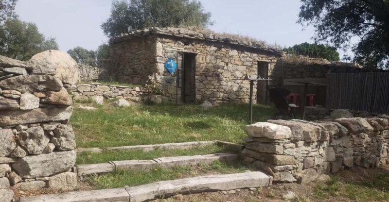 Corsica: Organic Wine Tasting & Local Lunch - Since You Asked