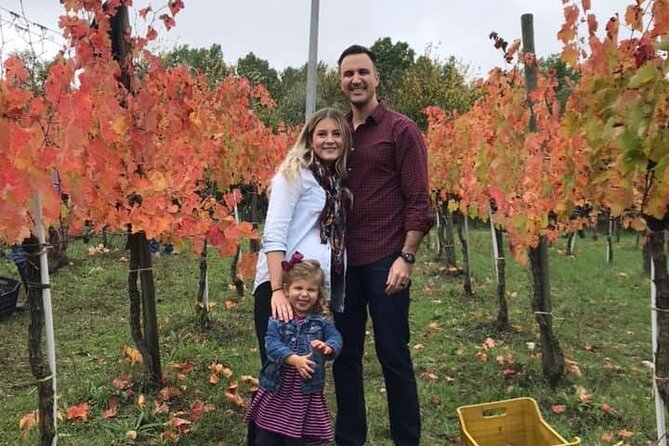 Cortecorbo Irpinia-Wines: Tour of the Vineyards- Cooking Class- Wine Tasting - Exploring the Cellar and Discovering the Wines