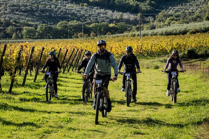 Cortona - Ebike Tour and Wine Tasting in the Val Di Chiana [+40€] - Customer Feedback