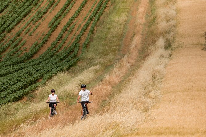Cortona - Ebike Tour and Wine Tasting in the Val Di Chiana [+40€] - Discovering the Wines of Val Di Chiana