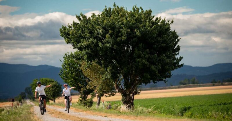 Cortona: Val di Chiana E-Bike Tour with Optional Wine Lunch - A Detailed Look at the Cortona: Val di Chiana E-Bike Tour
