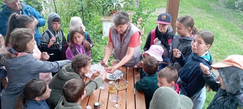 Corund, HR: Visit to bee-keeper, tasting & hive-opening - Corund, HR: Visit to Bee-Keeper, Tasting & Hive-Opening – A Practical Look