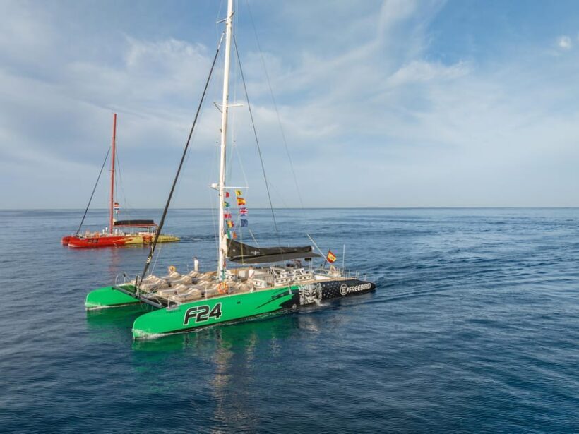 Costa Adeje: Masca and Los Gigantes Whale Watching Cruise - FAQ