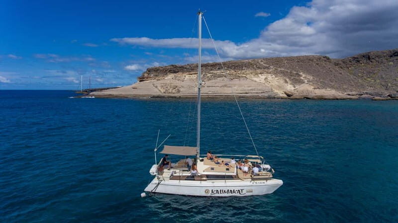 Costa Adeje: Private Catamaran Tour 22 Persons Max - Key Points