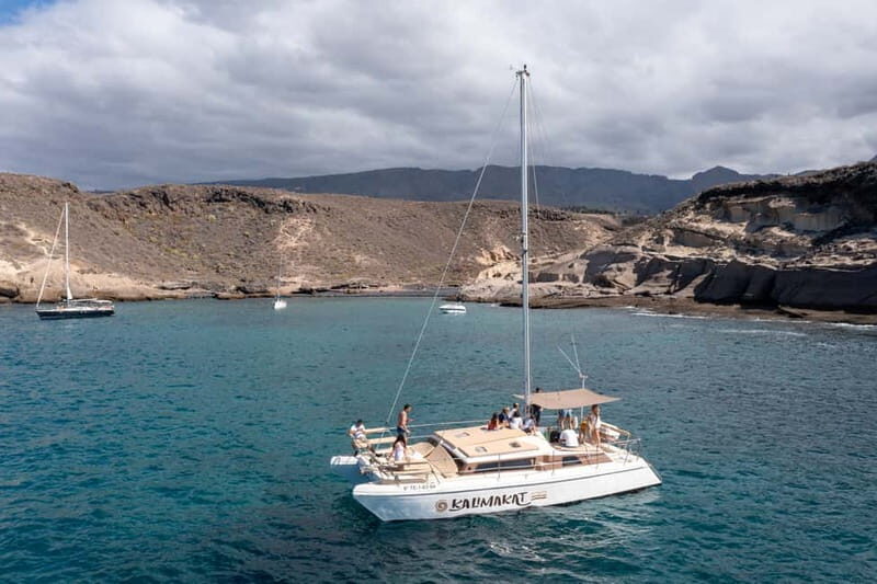 Costa Adeje: Private Catamaran Tour 22 Persons Max - Analyzing the Cost and Value