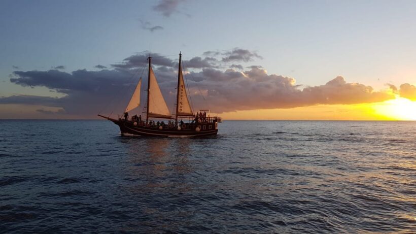 Costa Adeje: Respectful Whale-Watching Sailboat Tour & swim - Key Points