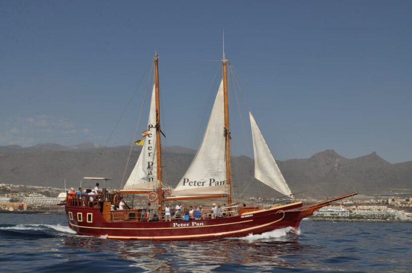 Costa Adeje: Respectful Whale-Watching Sailboat Tour & swim - The Value Proposition