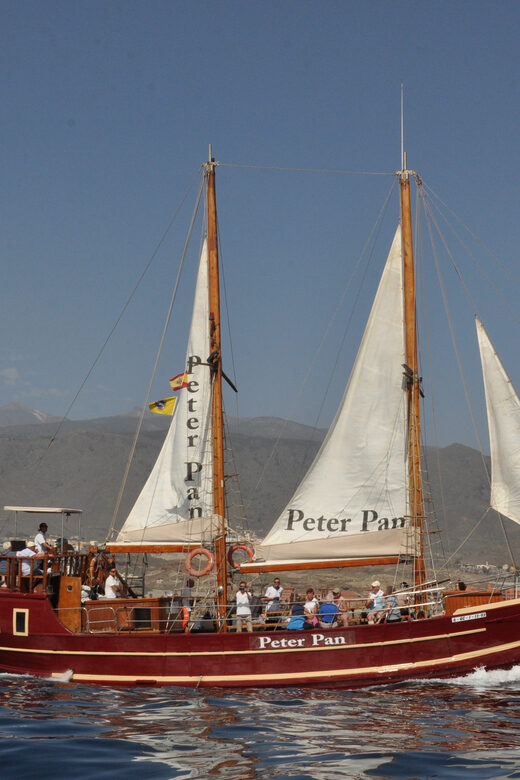 Costa Adeje: Respectful Whale-Watching Sailboat Tour & swim - The Sum Up