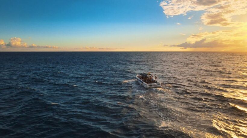 Costa Adeje: Whale and Dolphin-Watching Boat Excursion - An In-Depth Look at What You Can Expect