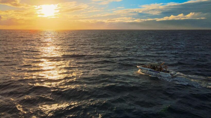 Costa Adeje: Whale and Dolphin-Watching Boat Excursion - Practical Considerations