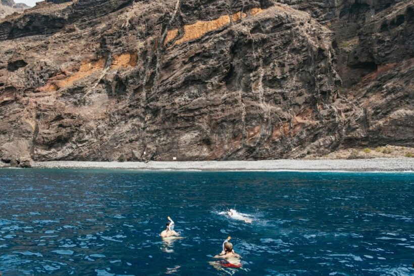 Costa Adeje: Whale & Dolphin Eco-Cruise with Snacks & Drinks - An In-Depth Look at the Experience