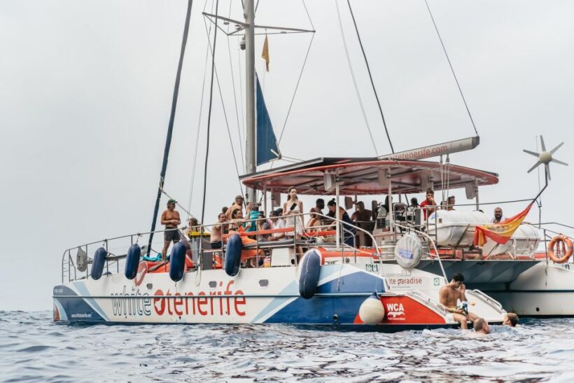 Costa Adeje: Whale & Dolphin Eco-Cruise with Snacks & Drinks - The Sum Up: Who Will Love This Trip?