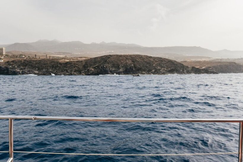 Costa Adeje: Whale & Dolphin Eco-Cruise with Snacks & Drinks - Frequently Asked Questions