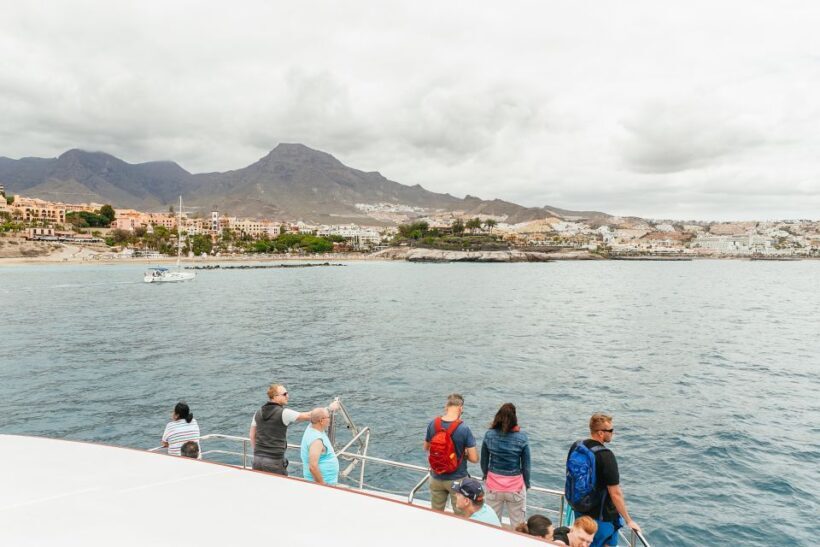 Costa Adeje: Whale & Dolphin Submarine Vision Mini Cruise - The Sum Up