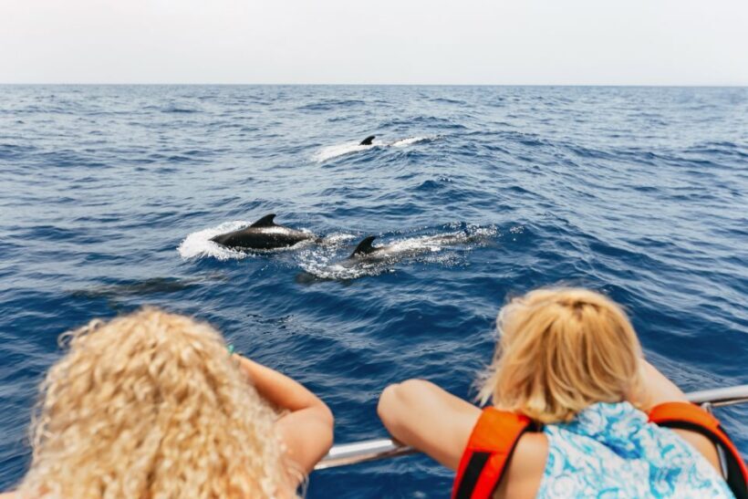 Costa Adeje: Whale Watching Catamaran Tour with Drinks - Introduction