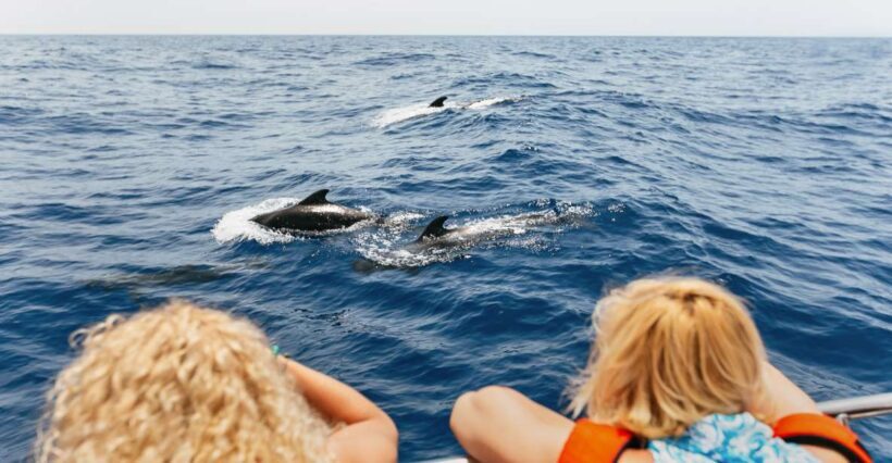 Costa Adeje: Whale Watching Catamaran Tour with Drinks - What Makes This Tour Stand Out?