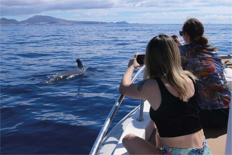 Costa Adeje: Whale Watching Eco Experience with Hydrophone. - Introduction: An Eco-Way to Encounter Marine Wildlife