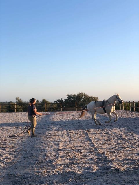 Costa Alentejana: Horse tour in Serra de Grândola - A Closer Look at the Experience