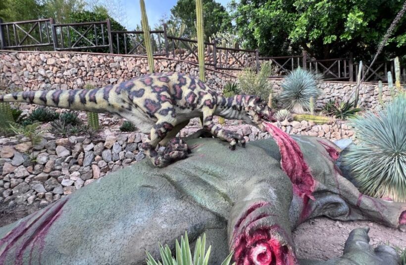 Costa Blanca: DinoPark Algar Entry Ticket - Visitor Insights & Authentic Feedback