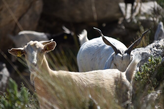 Costa Blanca Full-day Off Road Tour - Final Verdict