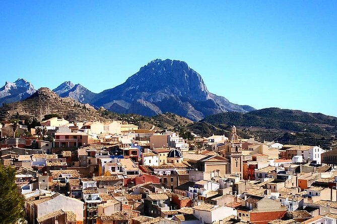 Costa Blanca Guided Walk - Customer Feedback and Pricing