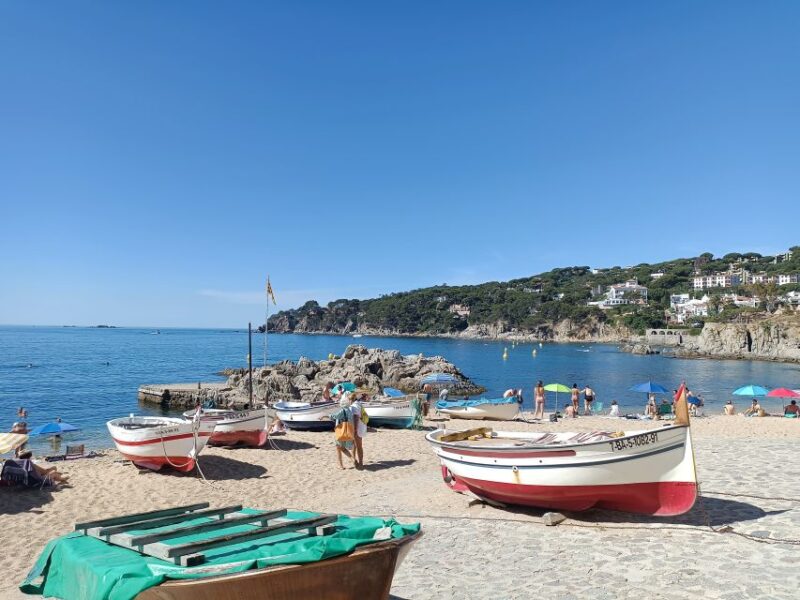 Costa Brava and Medieval Villages Full Day Tour - Practical Tips & Considerations