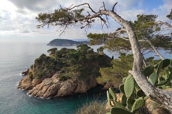 Costa Brava Coast Hike and Snorkel From Barcelona With Lunch - Additional Information