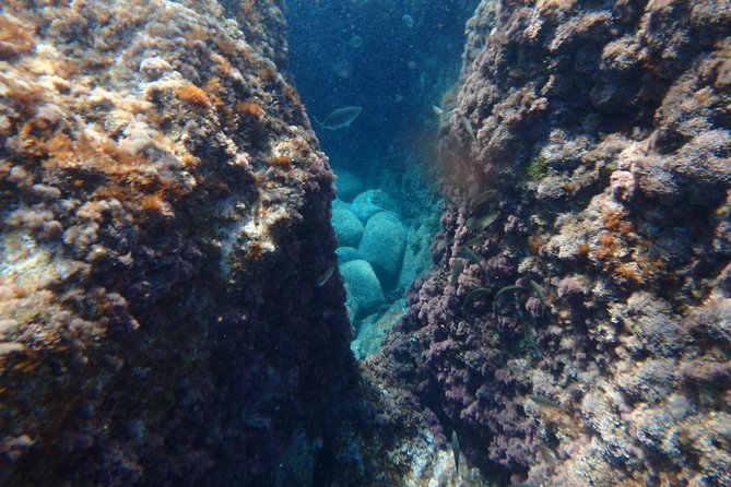 Costa Brava Day Adventure: Kayak, Snorkel & Cliff Jump with Lunch - Frequently Asked Questions